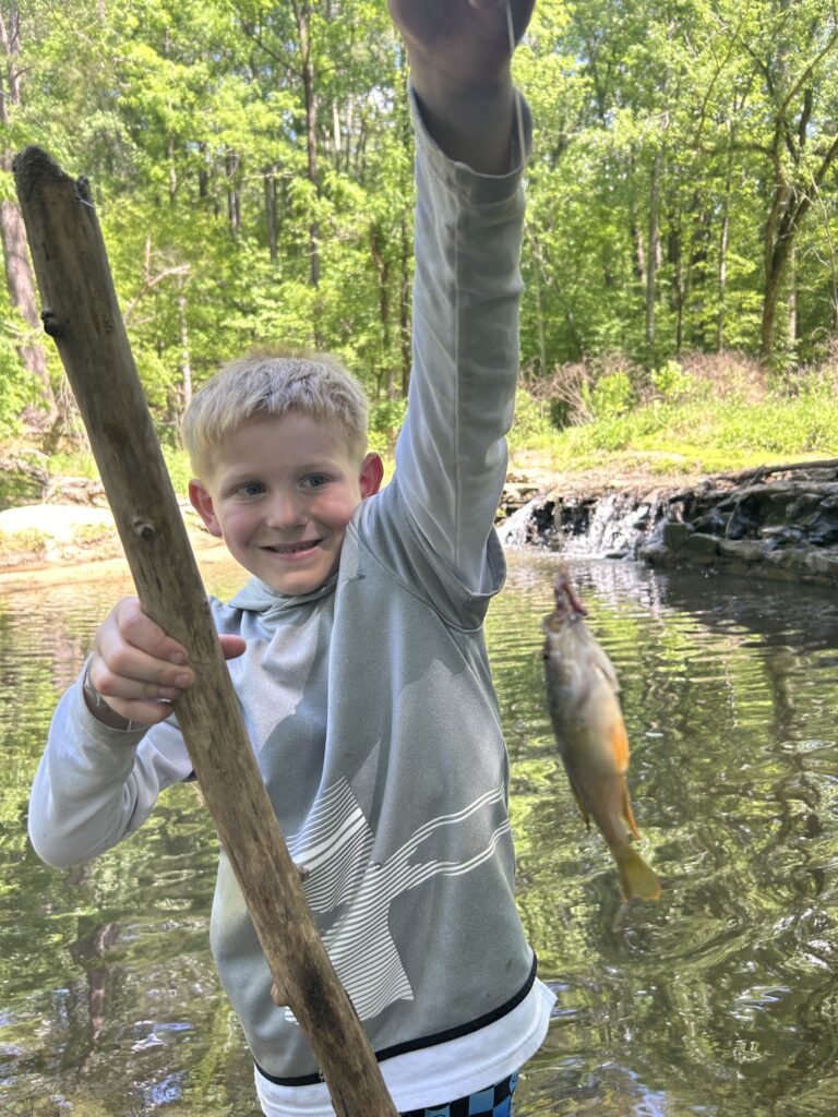 Surprises of Spring photo gallery - Schoolhouse of Wonder