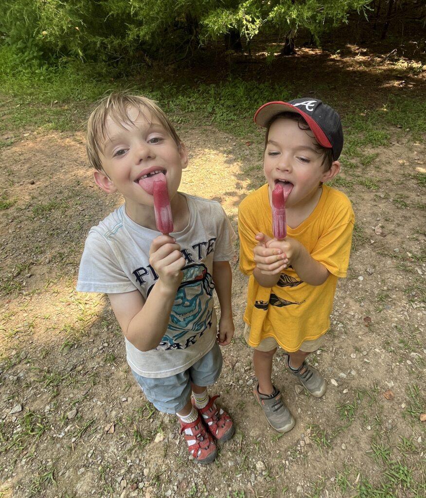 June 23-27: Lizard Photo Gallery - Schoolhouse of Wonder