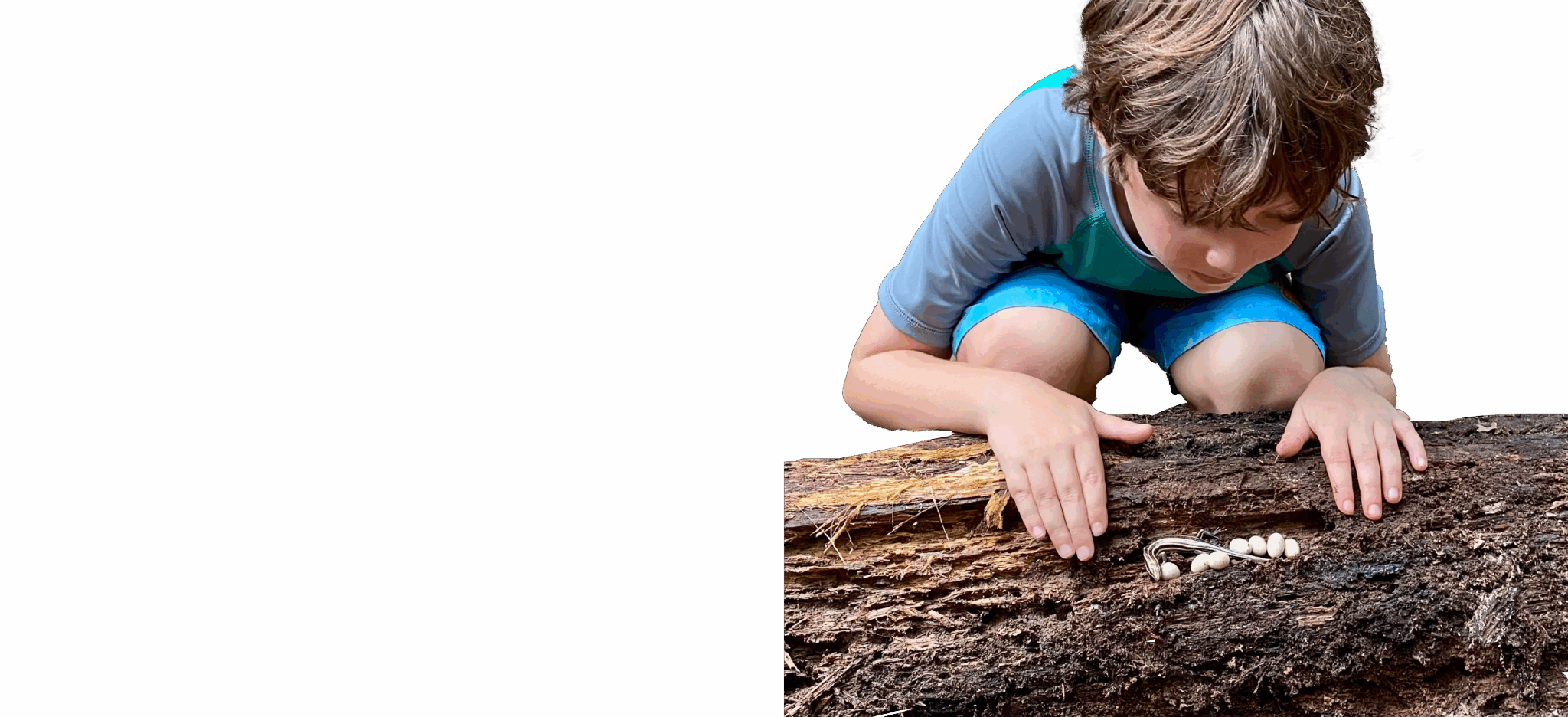 Storm Recovery: Please Help Close the Gap - Schoolhouse of Wonder